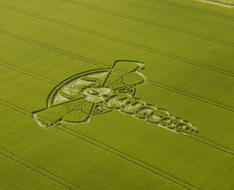 What are crop circles — and are any of them actually made by aliens?