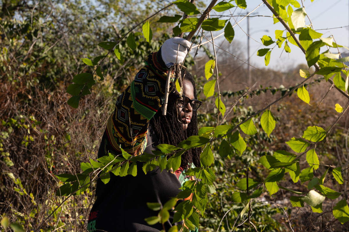 Honeysuckle, feral hogs & other prominent invasive species in KY: What ...