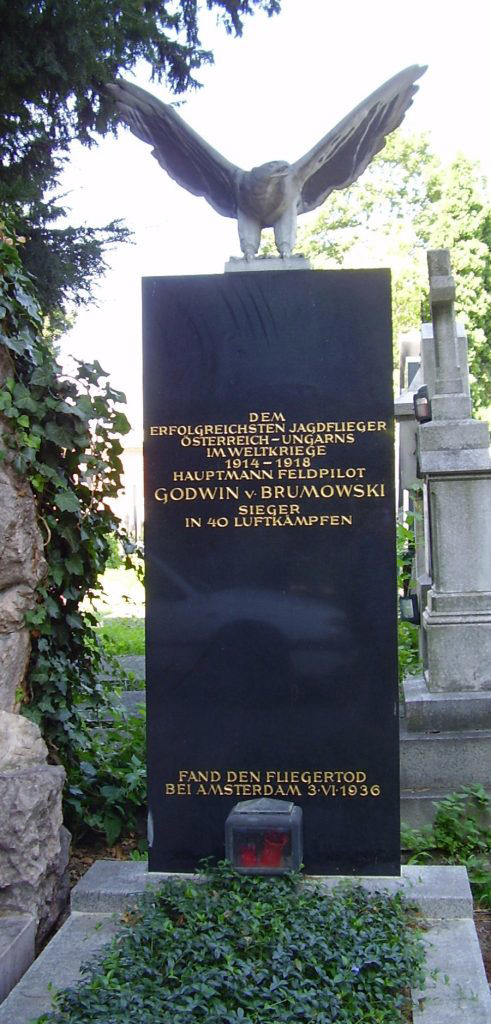Aces of the Great War: Godwin Brumowski – Top WWI ace of the Austro ...