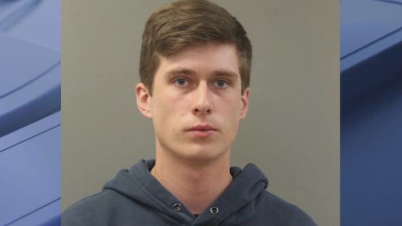 Chicago kitten killer: Wicker Park man sentenced to 4½ years for ...