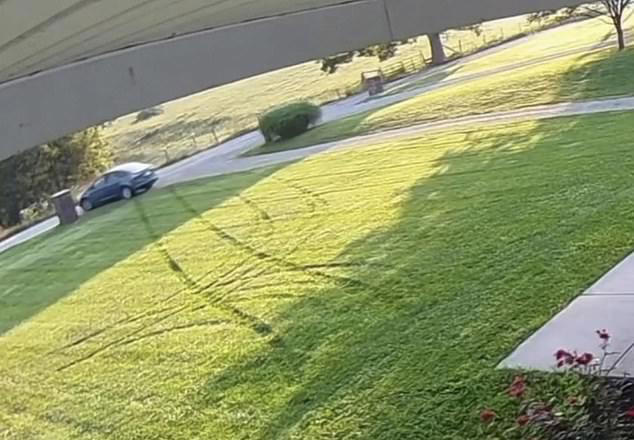 Midwest couple's fury as Amazon driver ruins their grass by driving ...