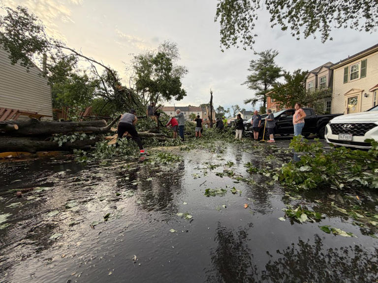 Severe storms cause power outages, knock down trees in Burke