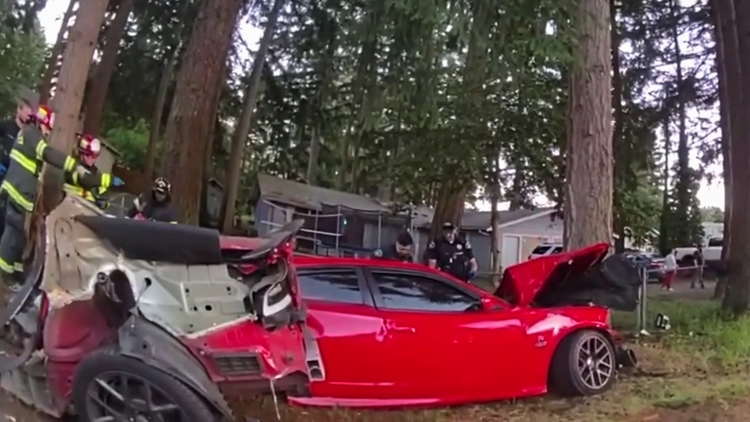 Car splits in half after hitting tree in Pierce County