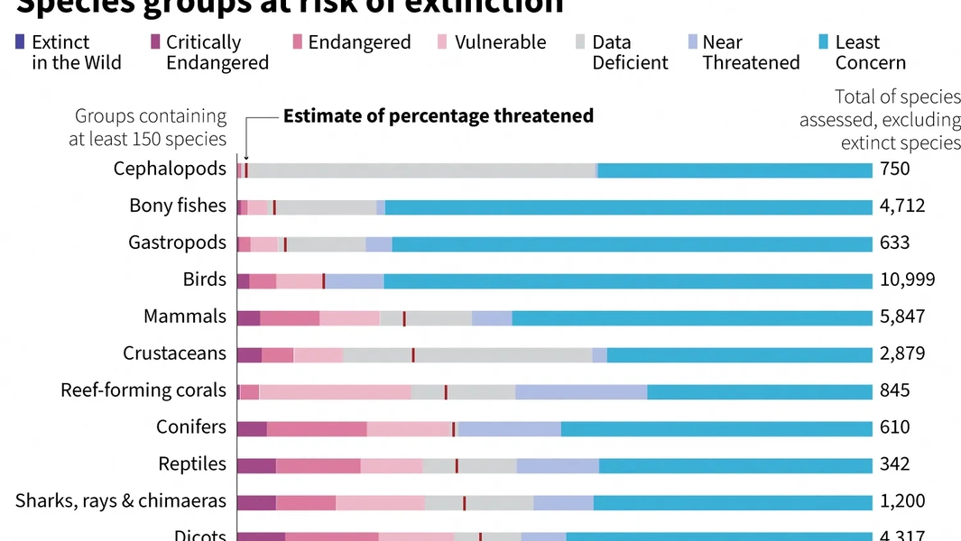 Study finds temperate species face higher local extinction risk