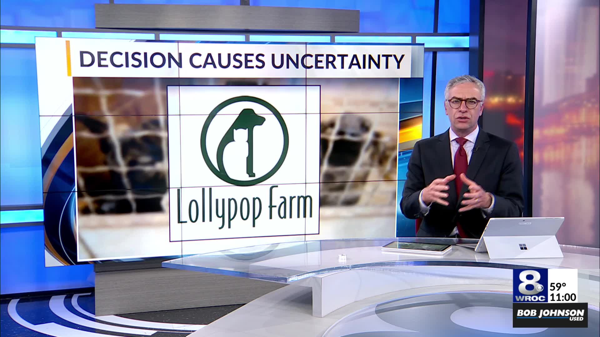 ‘We’re getting no help’: Lollypop Farm to pause surgeries for ...