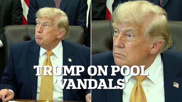 Trump says vandals likely destroyed Reflecting Pool with a knife