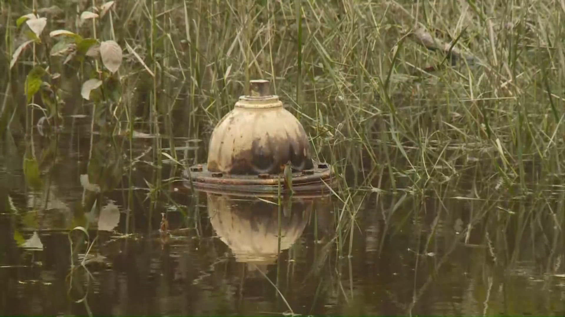 South Mississippi cleaning up after heavy flooding