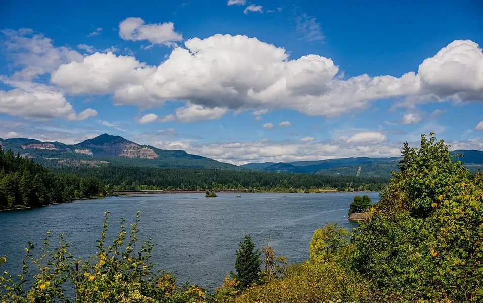 BPA funding cut leaves Oregon fisheries facing $2.4M gap