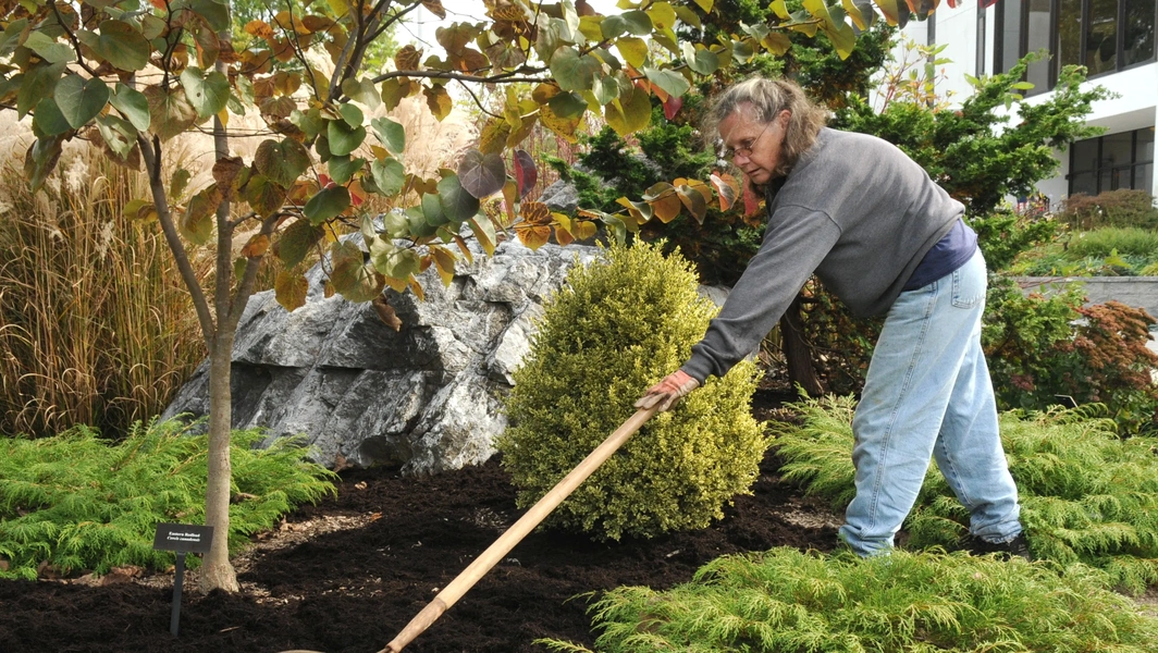 Fall gardening tips for your best harvest yet