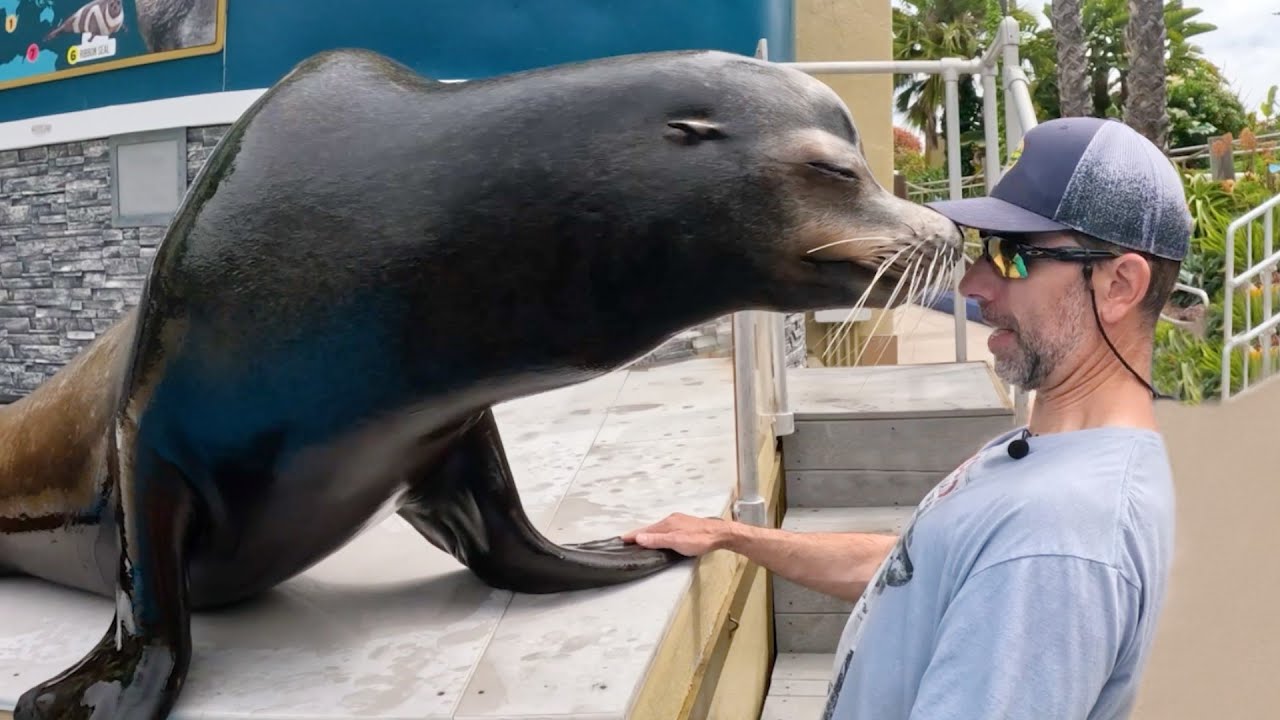 Blind man faces his fears: Touching sea creatures at SeaWorld San Diego