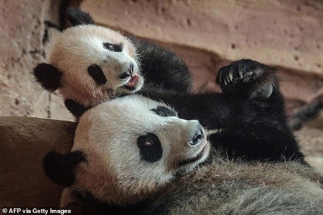 Just when mum thought she had finally found a moment for herself ...