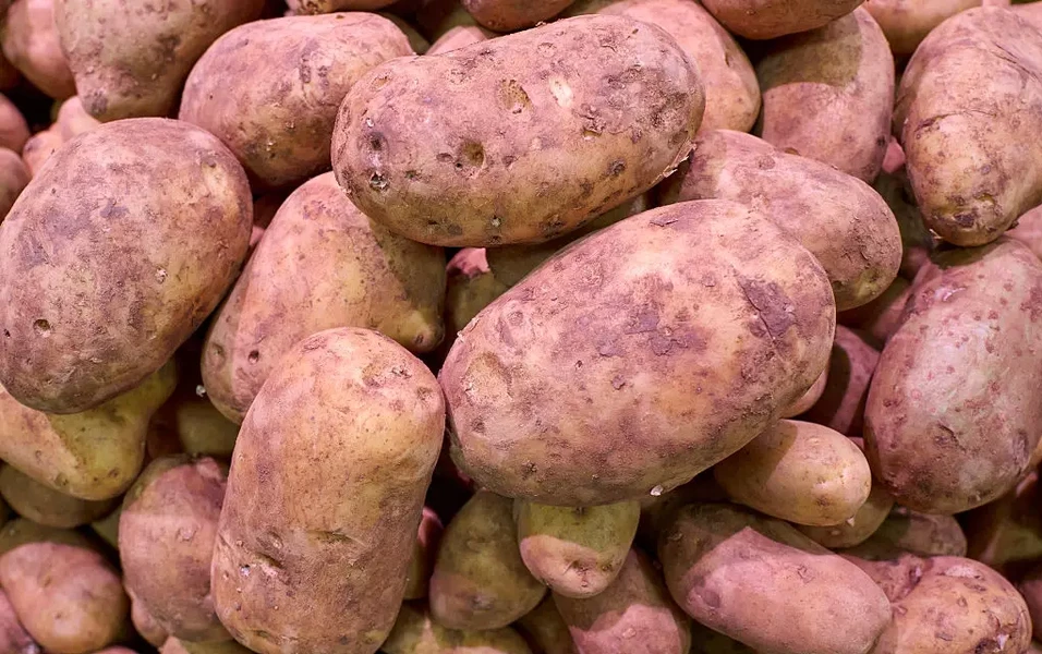 Potato recipes worth skipping the sides for