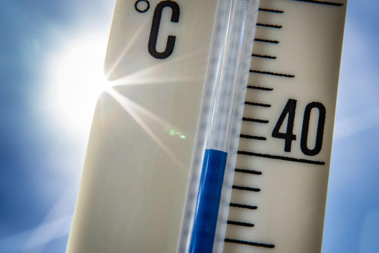 Bei knapp 40 Grad: Zwei Kinder tot in Auto entdeckt
