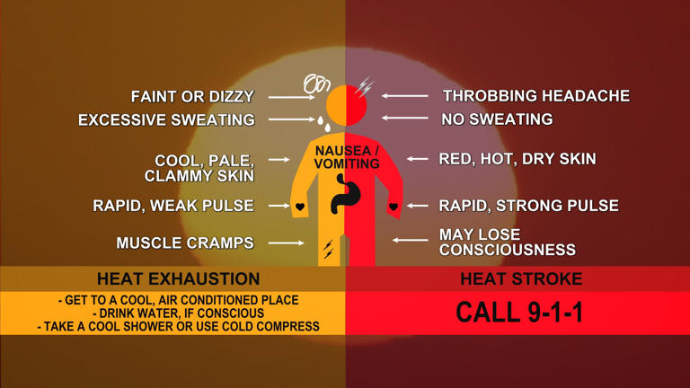 Heat stroke vs heat exhaustion: What to look out for as we get into hot ...