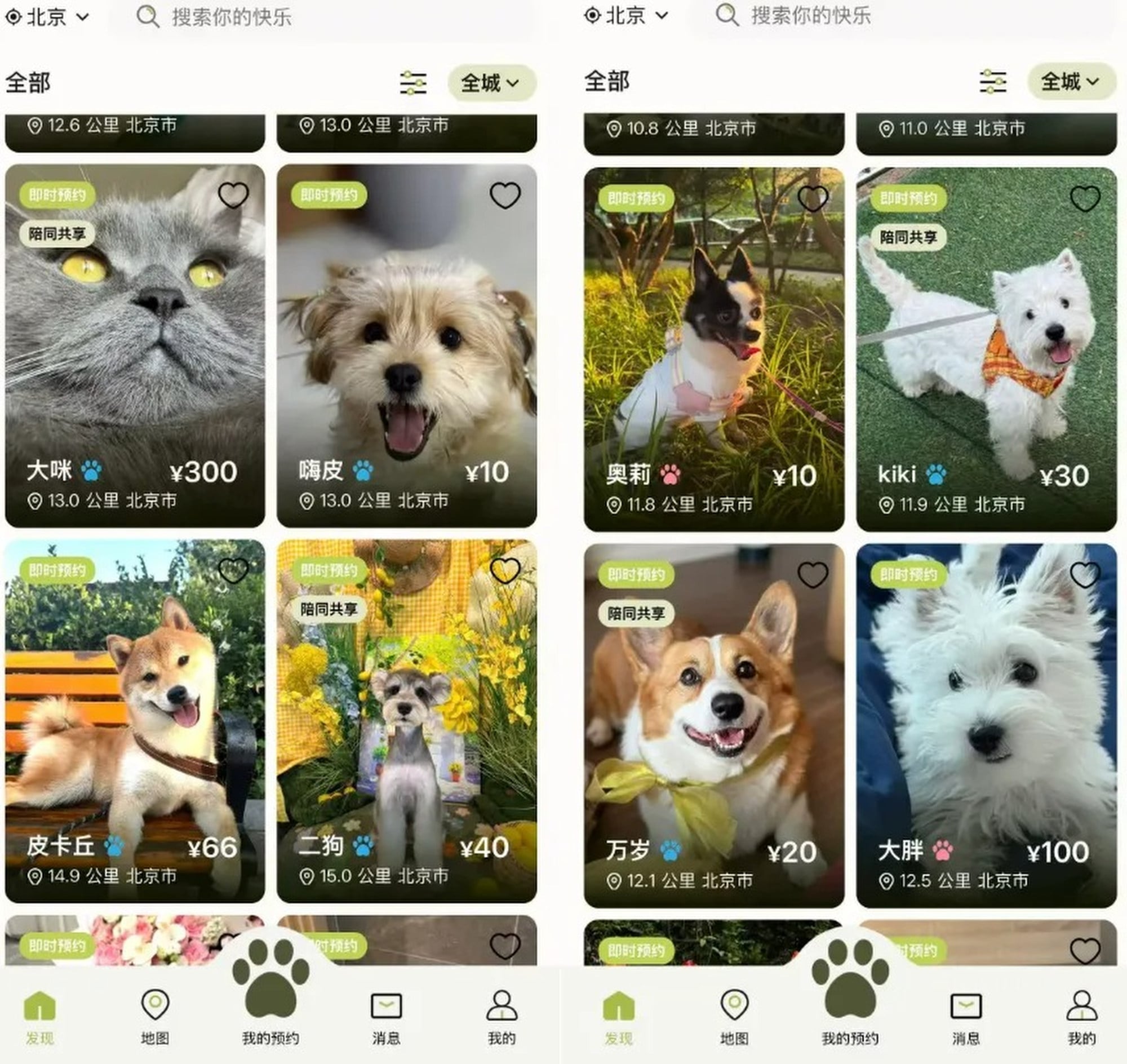 New China dog rental trend draws warnings of animal stress from ...
