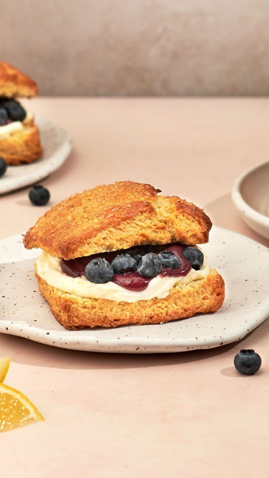 Lemon Blueberry Dessert Refreshing Sweet Treat