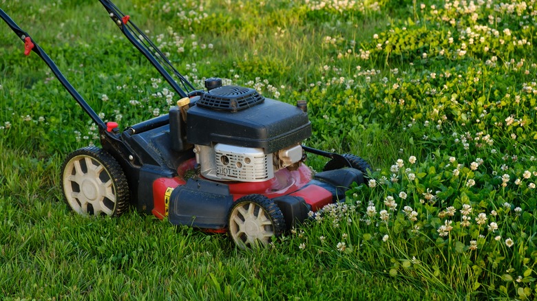 Side discharge vs mulch mowing: Deciding what's best for your lawn