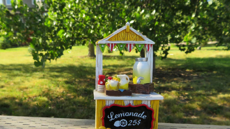 Man took out gun at kid's lemonade stand in Prior Lake, charges say