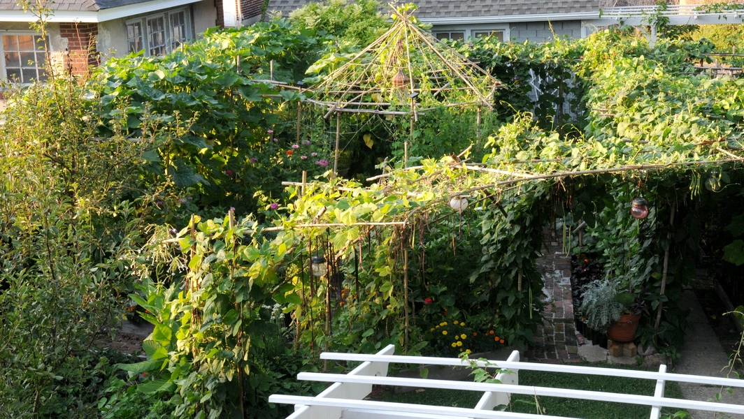 6 creative backyard crafts from trees