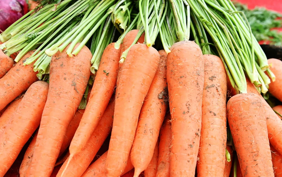Carrot growing tips for sweeter harvests