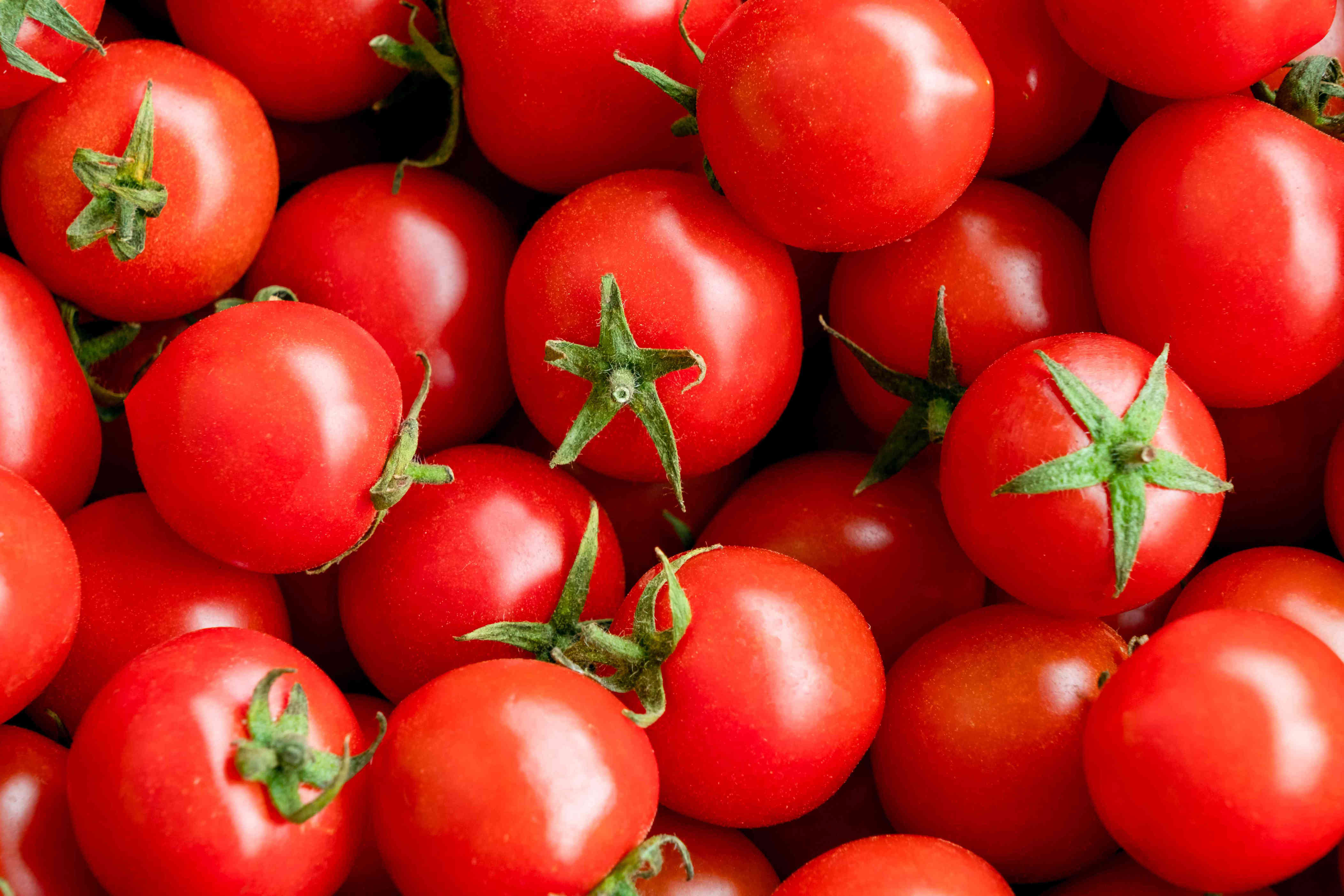 The only way to store cherry tomatoes, according to a food scientist