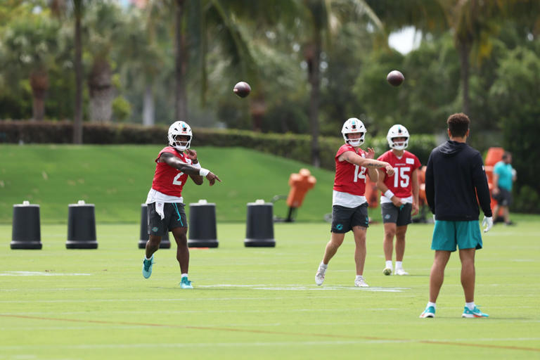 The latest assessment of the Miami Dolphins' spring work could be a ...