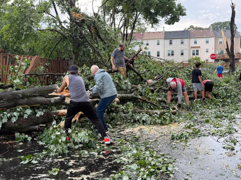 Severe storms cause power outages, knock down trees in Burke