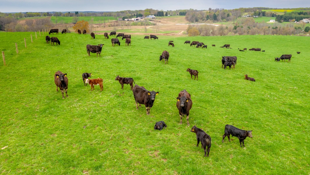 5 sustainable farms across Virginia