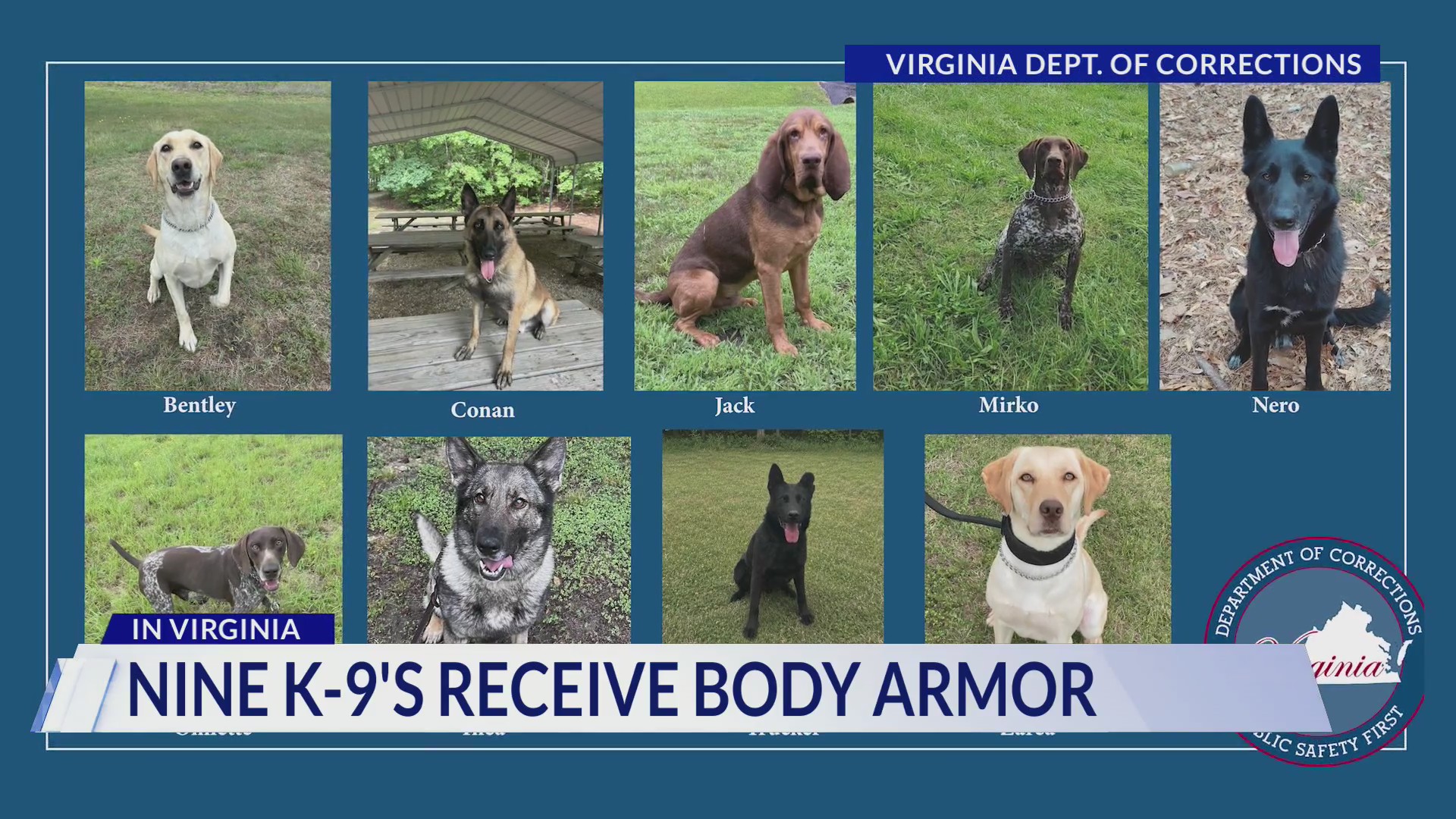9 Virginia Dept. of Corrections K-9s receiving body armor