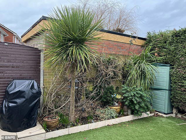 My neighbour's 10ft-tall home office blocks the sun to my garden ...