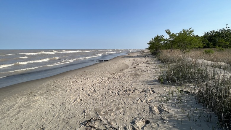 Between Detroit and Buffalo is Canada's thriving park on Lake Erie with ...