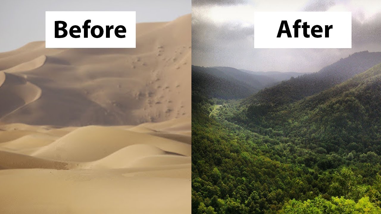 How China turned the desert into green forests