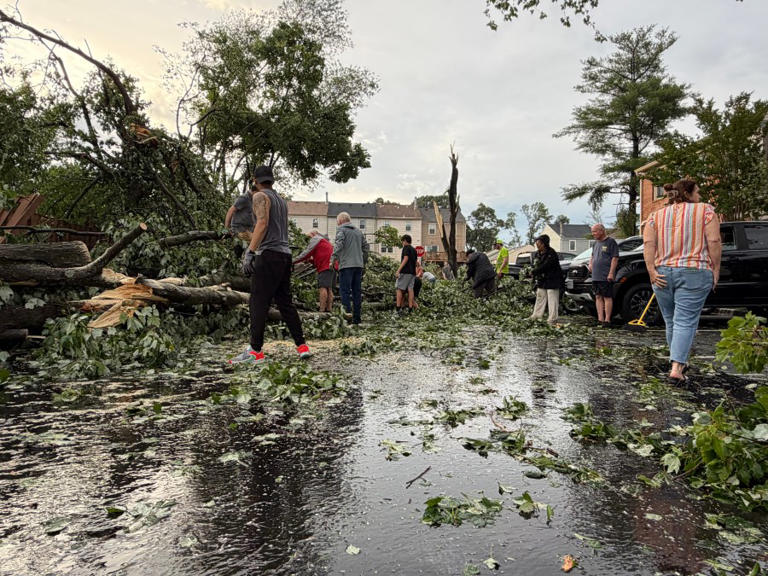 Severe storms cause power outages, knock down trees in Burke