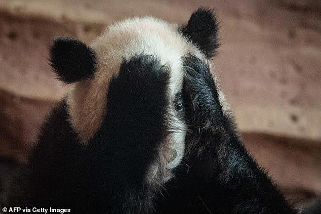 Just when mum thought she had finally found a moment for herself ...