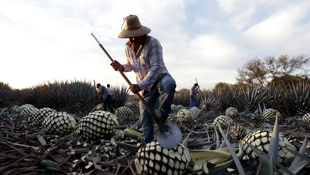 9 skillcations blending travel with hands-on learning