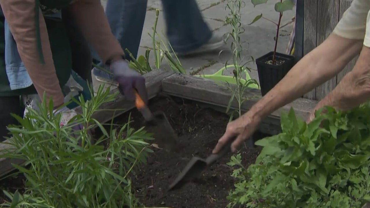 Gardening may boost brain health, new study says
