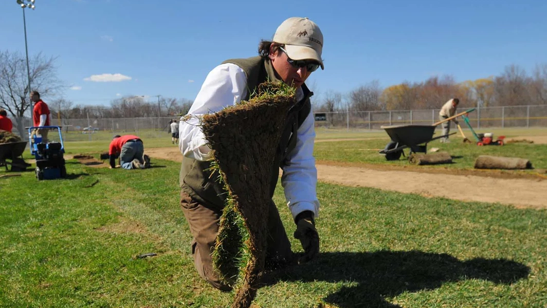 Proper techniques for successful sod installation