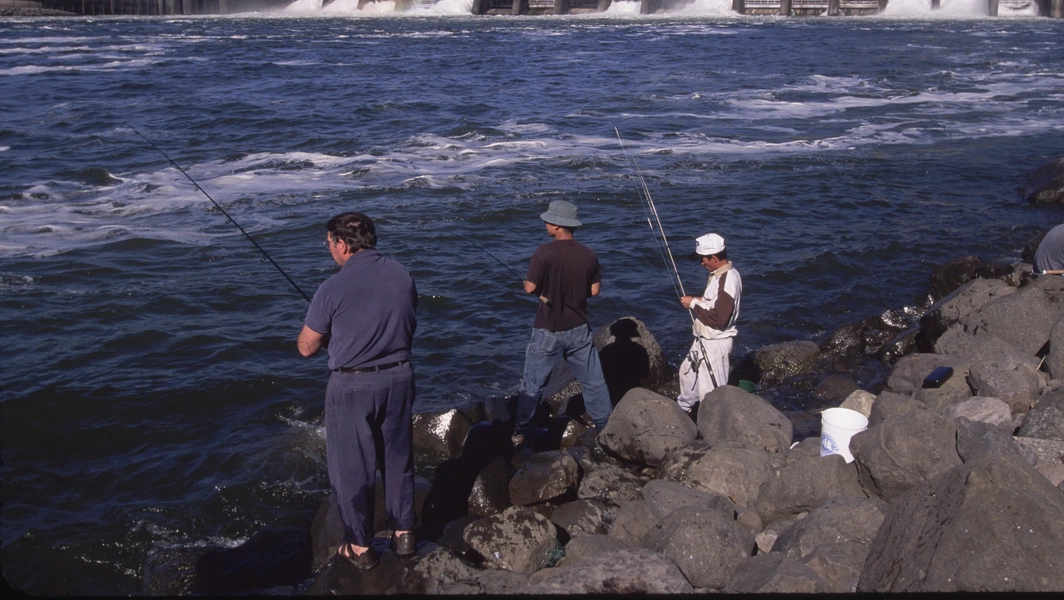 BPA funding cut leaves Oregon fisheries facing $2.4M gap