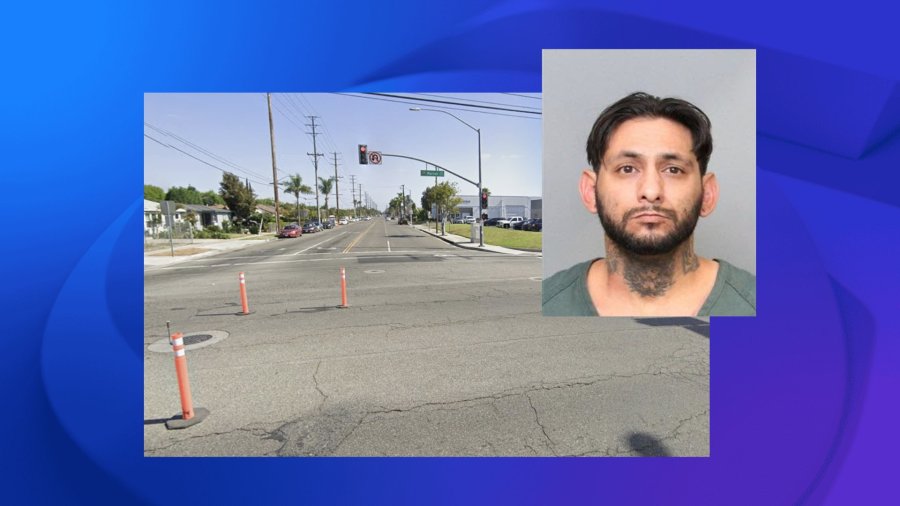 Driver turns himself in for deadly Santa Ana hit-and-run