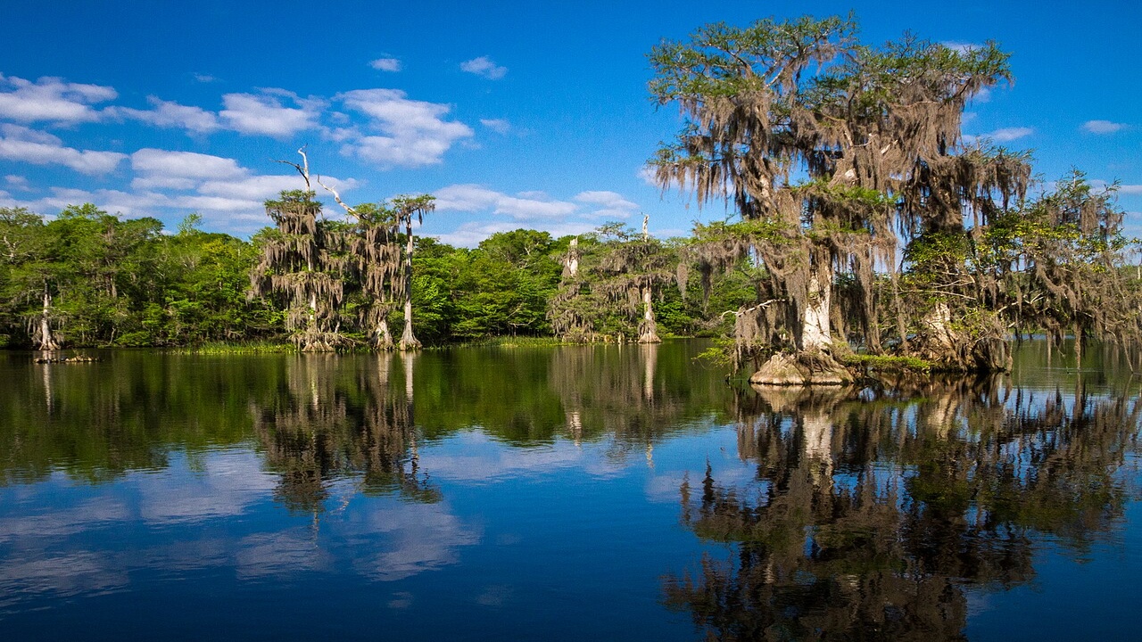 A 185-foot spring near Tallahassee has prehistoric bones at the bottom ...
