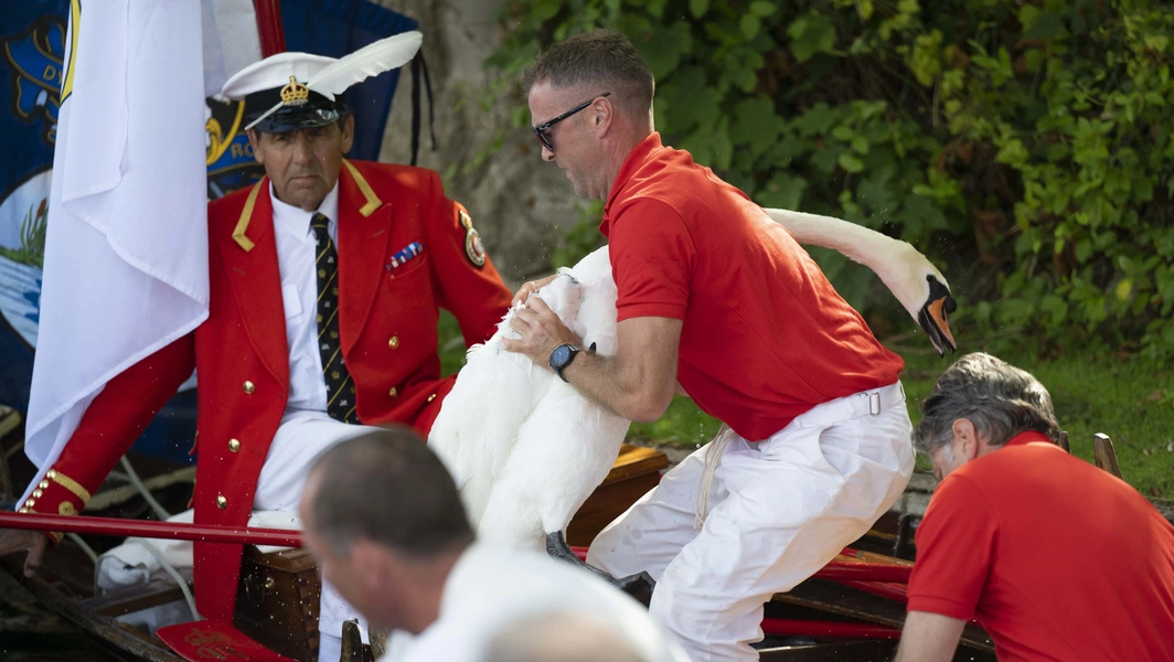 7 unusual royal customs from around the world
