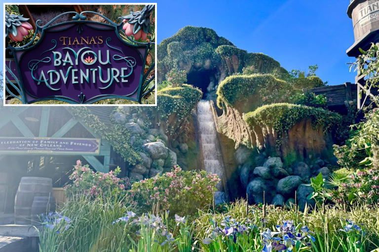 13-year-old boy falls down waterfall of Tiana’s Bayou Adventure at ...