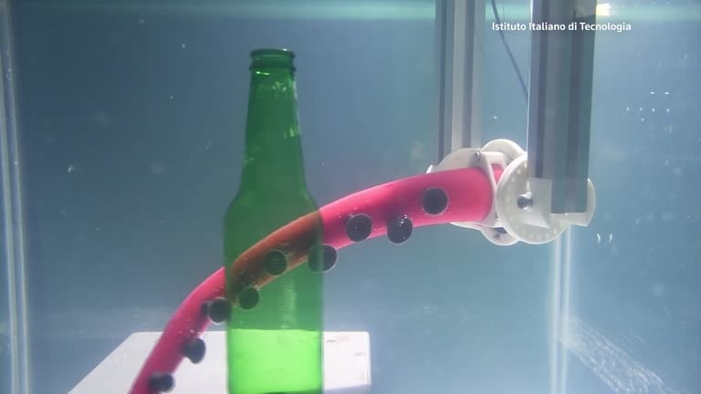 Octopus-inspired robotic arm can feel, grip and work underwater