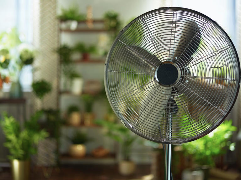 How to keep your house cool without air conditioning: 6 simple tricks ...