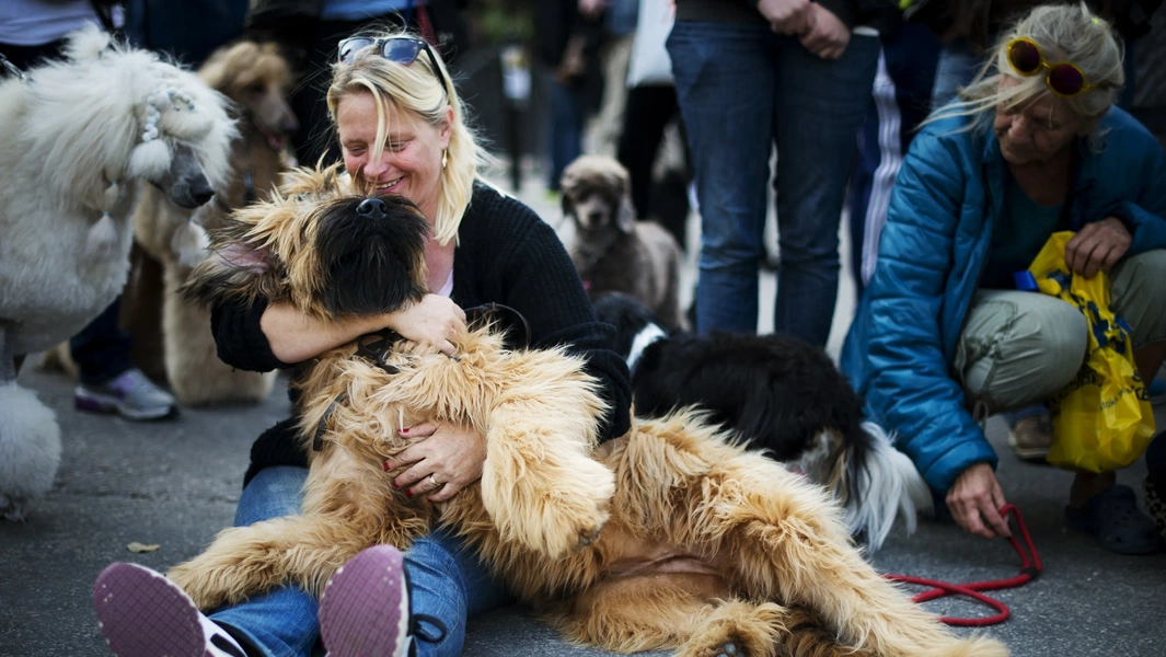 7 common human habits that stress dogs