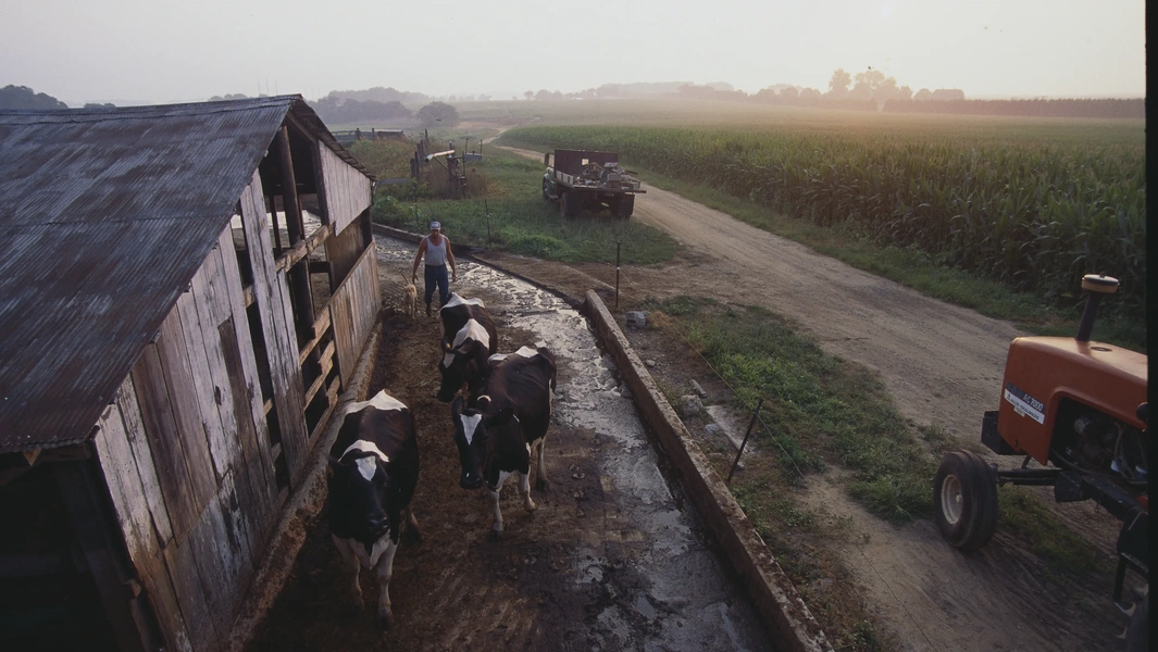5 Texas dairy farms with unique traditions