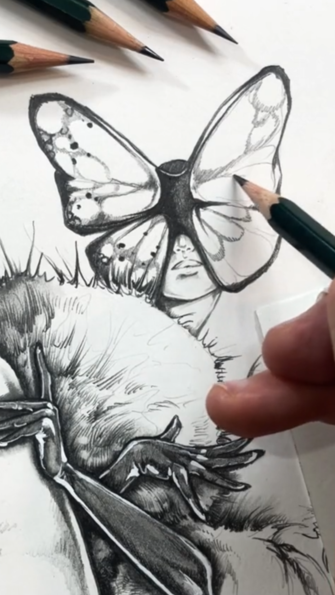 Dramatic fashion illustration the butterfly effect concept reveal