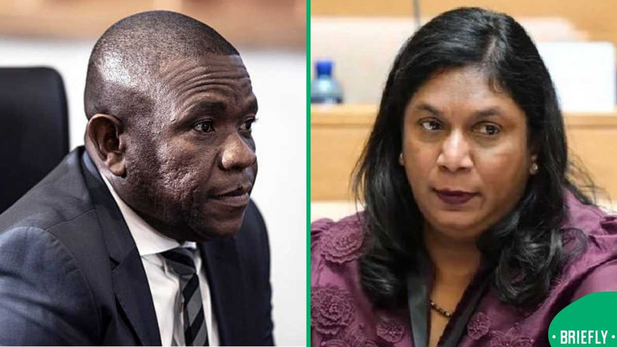 Andrea Johnson says Mkhwanazi’s 'blood will flow' warning left staff ...