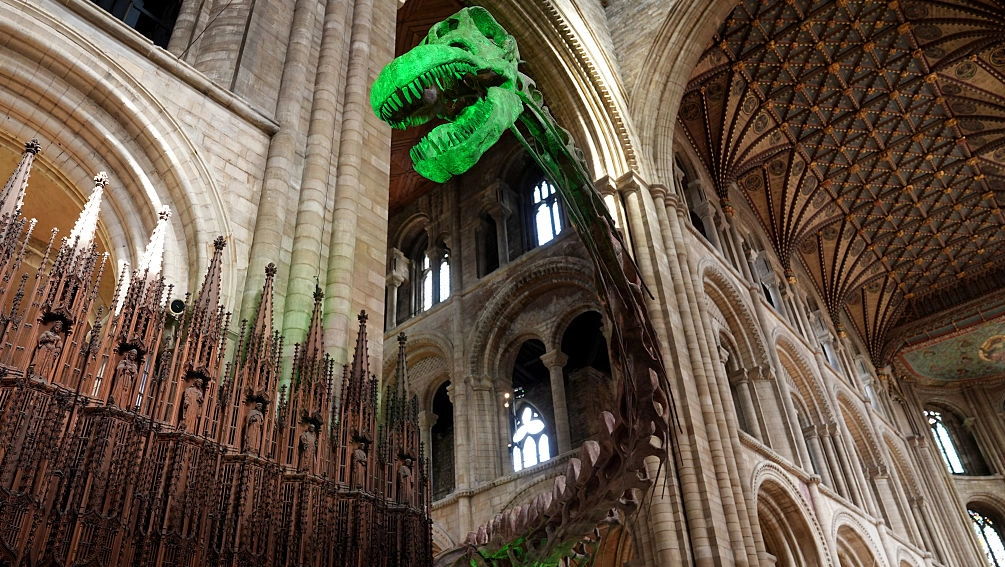 12 prehistoric giants from land, sea, and sky