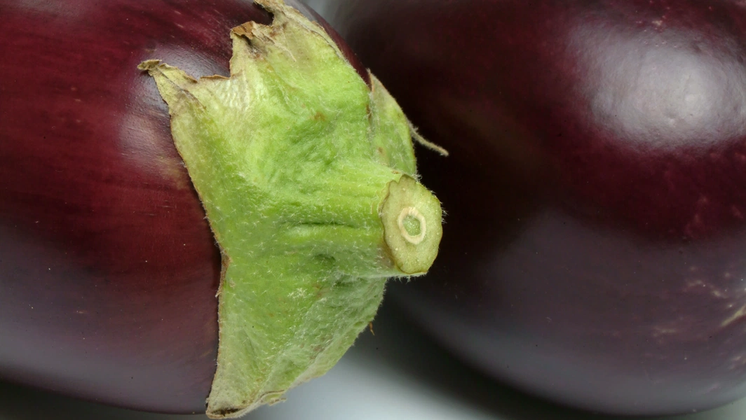 Eggplant secrets for flavor, health, and joy
